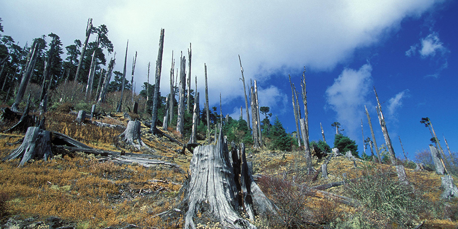 Climate Risk and Adaptation