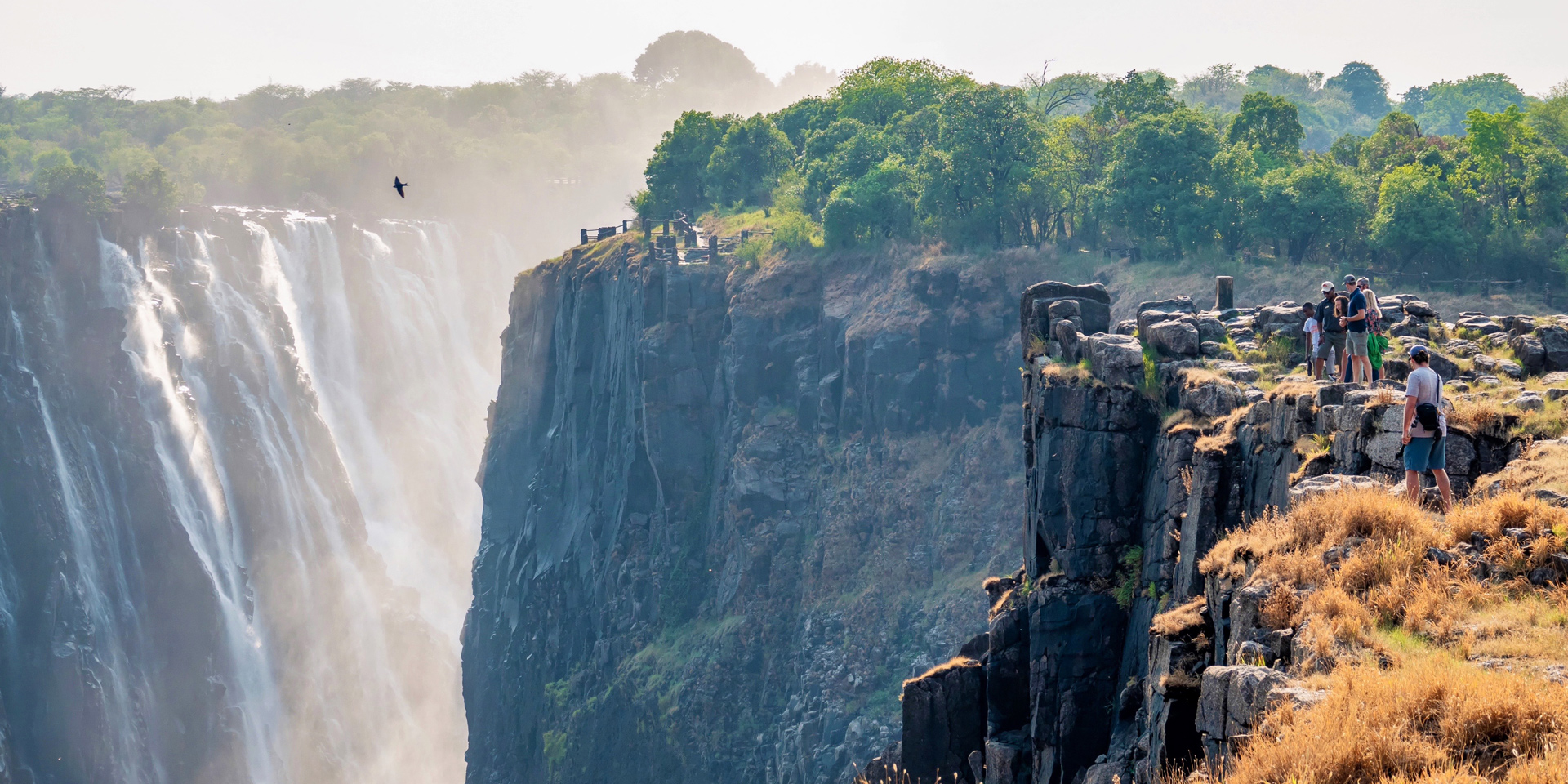 Destination Zimbabwe: How IFC is getting Zimbabwe’s COVID-19 hit ...