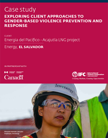 Case Study: Exploring Client Approaches to Gender-Based Violence ...