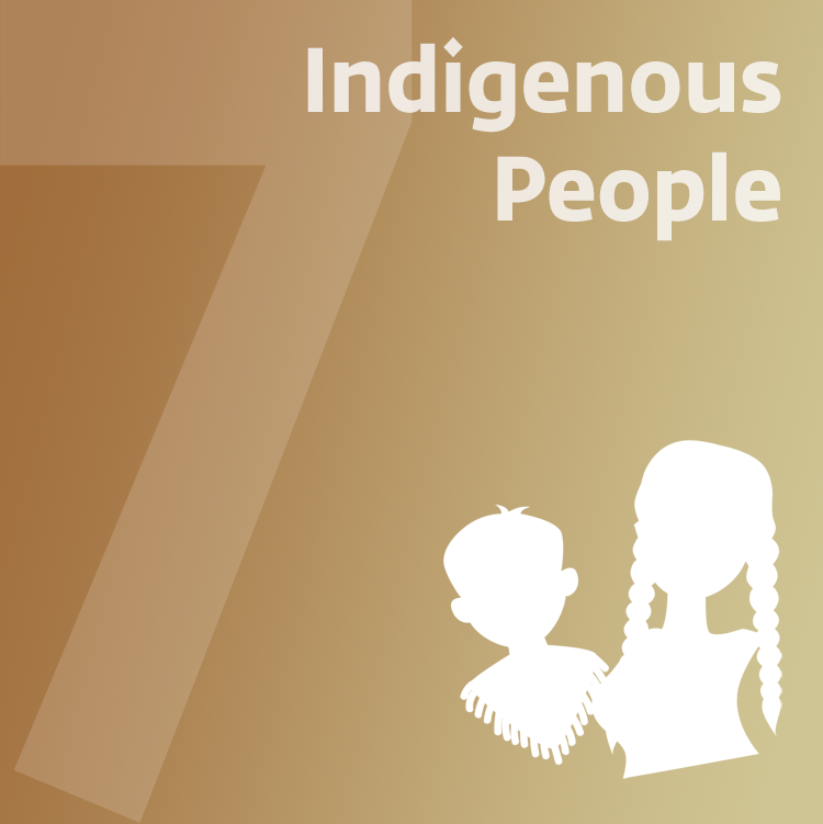 Overview of IFC Performance Standard 7