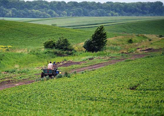 Sustainable Crop Production Platform