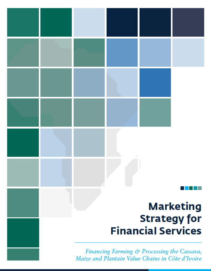 Marketing Strategy for Financial Services - Financing Farming ...