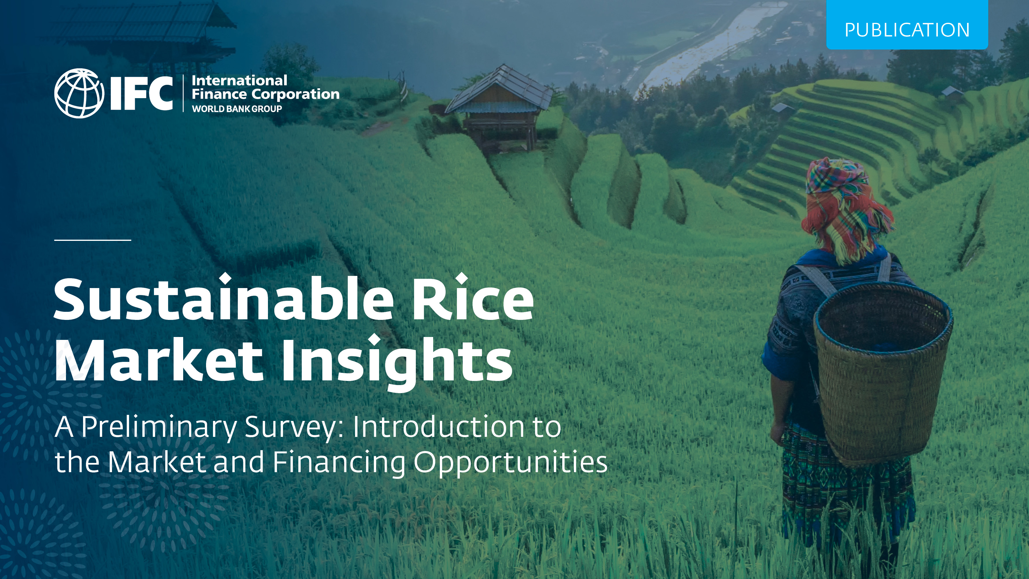 IFC’s Sustainable Rice Market Insights