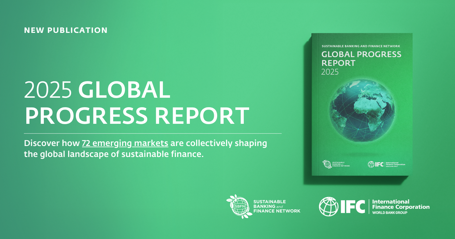 Emerging Markets Accelerate Sustainable Private Sector Investment
